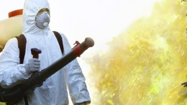How the Cost of Hiring a Pest Exterminator Plays an Important Role ...