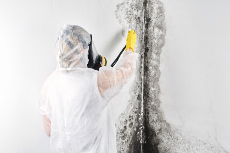 Reliable Services of Mold Testing and Mold Remediation in Miami